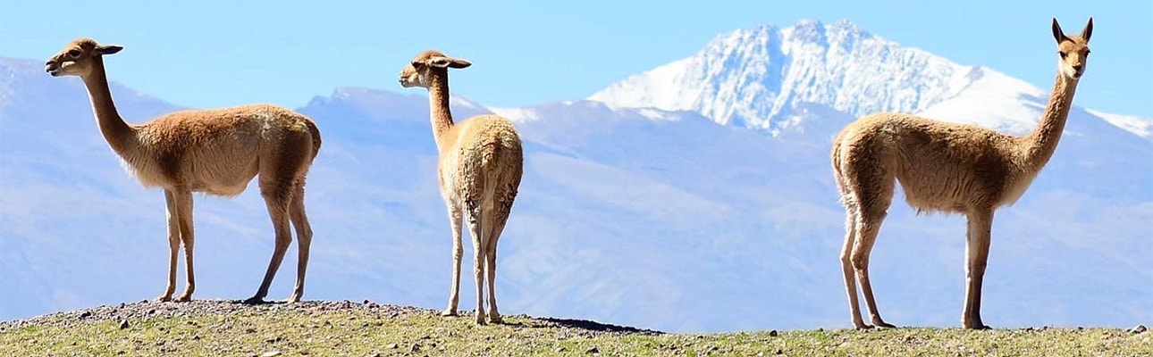 Expedição Argentina Andina – Rota Austral